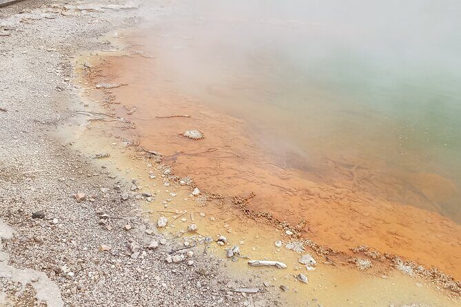 Rotorua to Wai-o-Tapu Thermal Wonderland Shuttle - Final Thoughts
