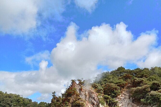 Rotorua to Waimangu Volcanic Valley Morning Shuttle - Who Will Appreciate This Tour?