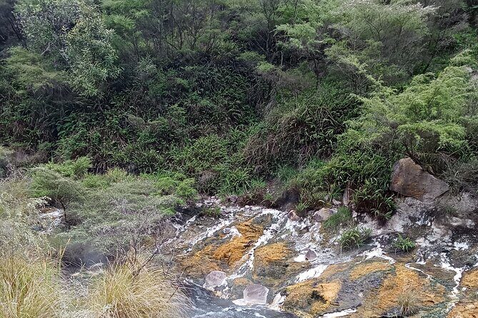 Rotorua to Waimangu Volcanic Valley Morning Shuttle - The Sum Up: Is It Value for Money?