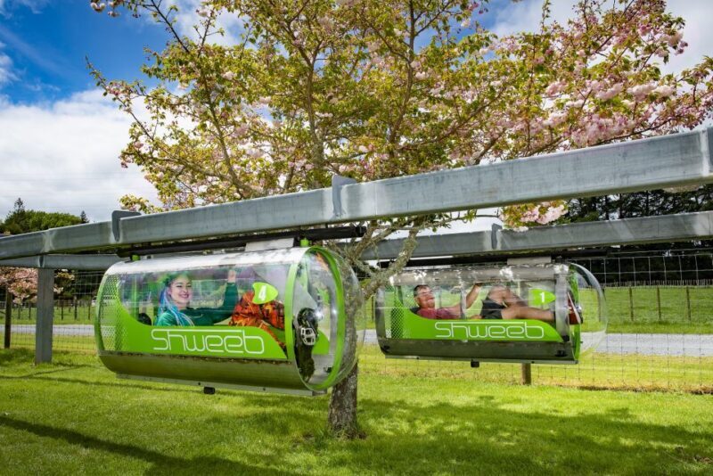 Rotorua: Velocity Valley - One Ride Pass - Introduction: What’s the Deal with Velocity Valley One Ride Pass?