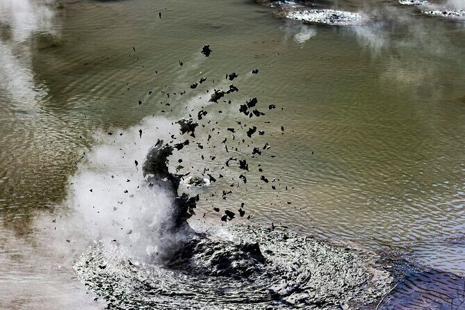 Rotorua Wai O Tapu and Secret Spot Hot Tubs - Key Points