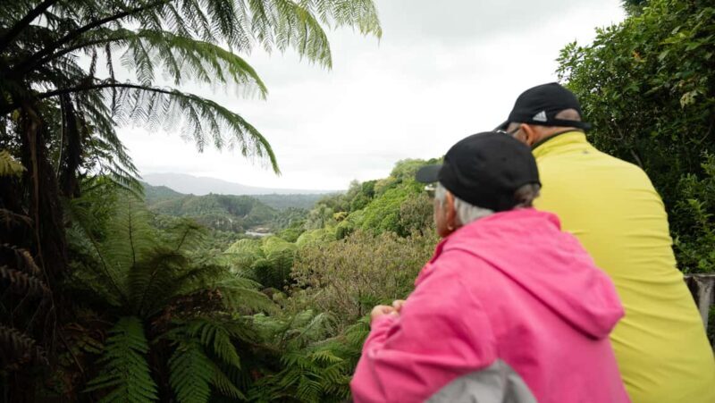Rotorua: Waimangu Valley Walk and Steaming Cliffs Kayak Tour - FAQs