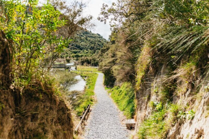 Rotorua: Waimangu Volcanic Valley Ticket & Self-Guided Walk - Key Points