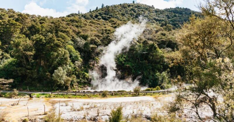 Rotorua: Waimangu Volcanic Valley Ticket & Self-Guided Walk - The Natural Wonder of Waimangu Volcanic Valley