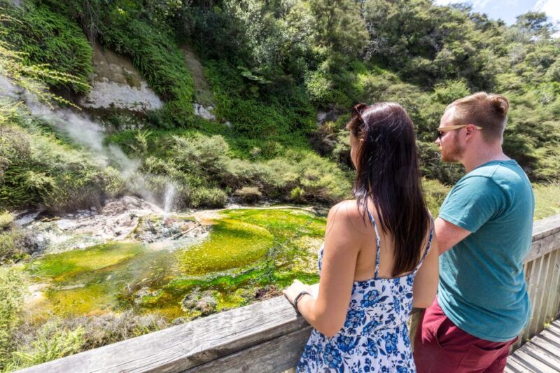 Rotorua: Waimangu Volcanic Valley Ticket & Self-Guided Walk - Practicalities and Tips
