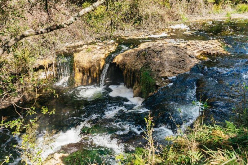 Rotorua: Waimangu Volcanic Valley Ticket & Self-Guided Walk - Authentic Experience and Reviews