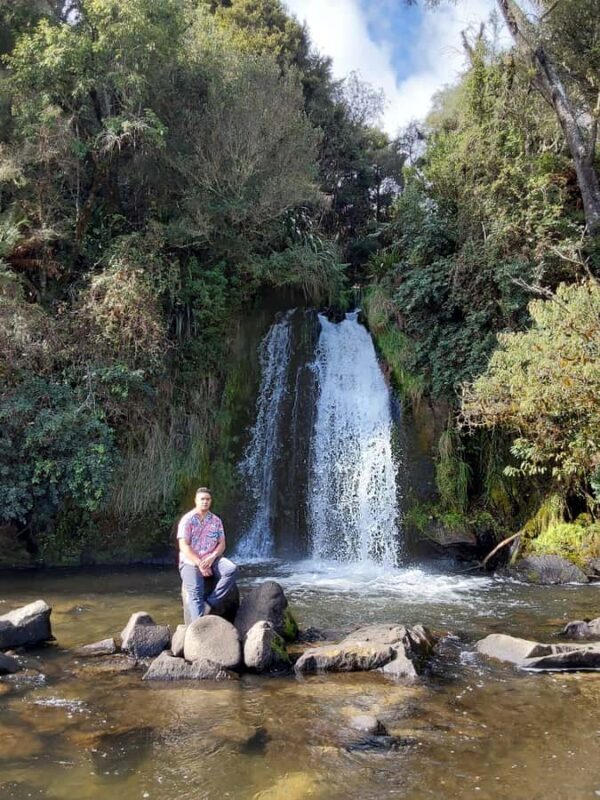 Rotorua (:) Whirinaki Forest Day & Night Walking With Us - An In-Depth Look at the Tour
