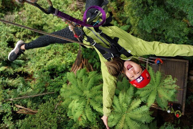 Rotorua's Biggest Zipline Adventure - Ultimate Canopy Tour - Key Points