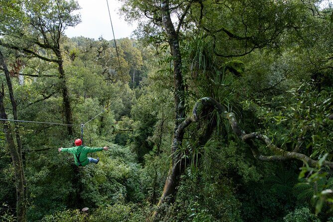 Rotorua's Biggest Zipline Adventure - Ultimate Canopy Tour - The Sum Up