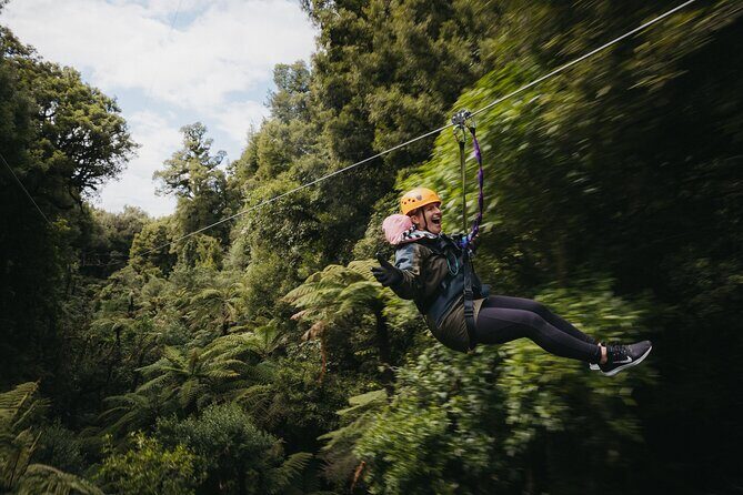 Rotoruas Original 3hr Unique Ancient Forest Zipline Adventure - Value for Money