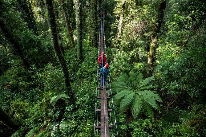 Rotoruas Original 3hr Unique Ancient Forest Zipline Adventure - Authentic Experiences and Traveler Feedback
