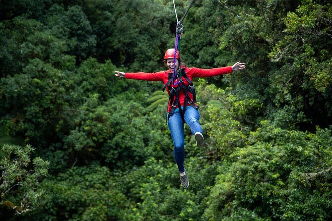 Rotoruas Original 3hr Unique Ancient Forest Zipline Adventure - The Sum Up: Is It Worth It?