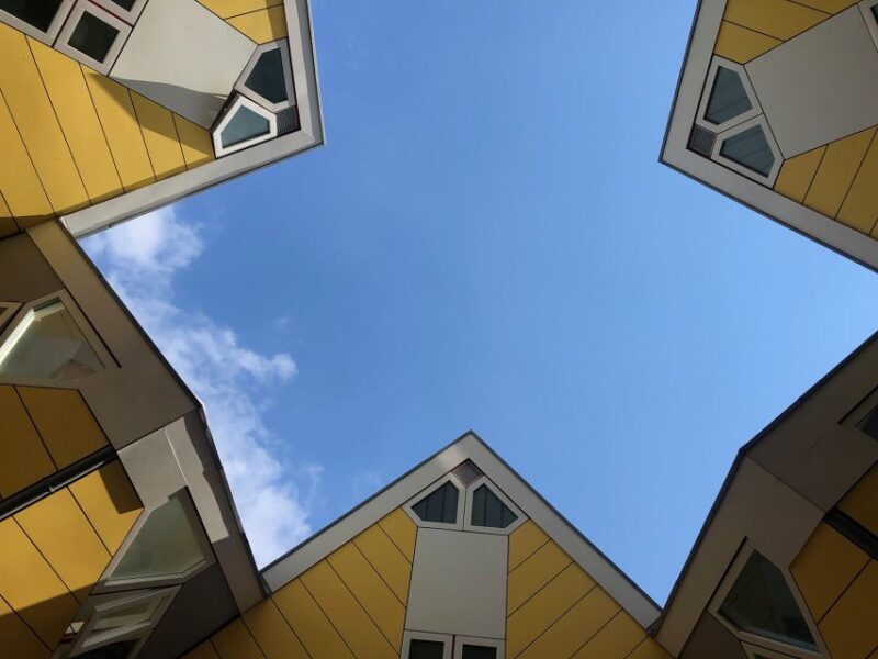 Rotterdam 2-Hour Grand Walking Tour - The Value of This Tour
