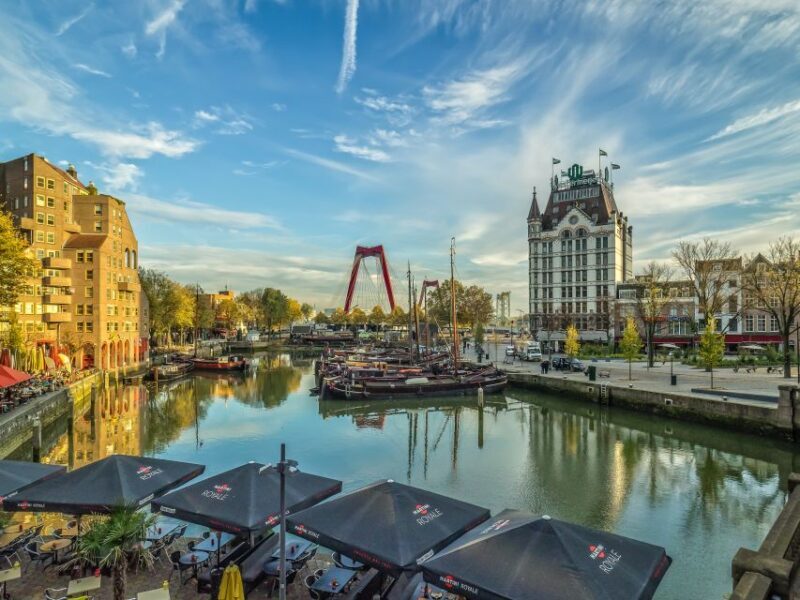 Rotterdam: 2-Hour Guided Walking Tour - The Sum Up
