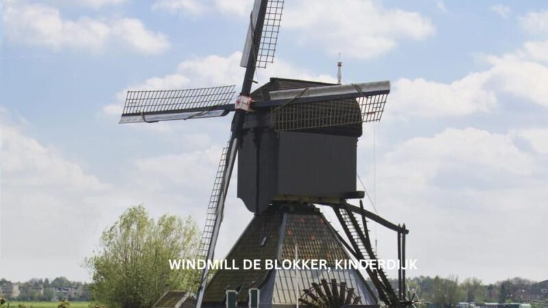 Rotterdam and Kinderdijk Daily Walking and Boat Tour - Who Should Consider This Tour?