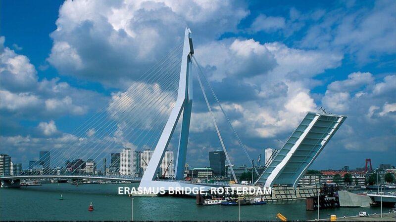 Rotterdam and Kinderdijk Daily Walking and Boat Tour - The Sum Up