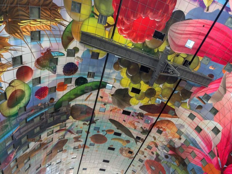 Rotterdam: Architecture Highlights Tour including the Depot - Authentic Traveler Experiences