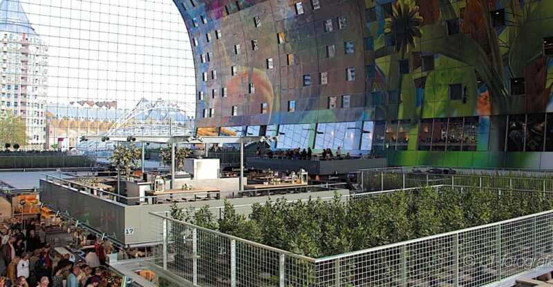 Rotterdam: City Center Walking Tour - Key Points