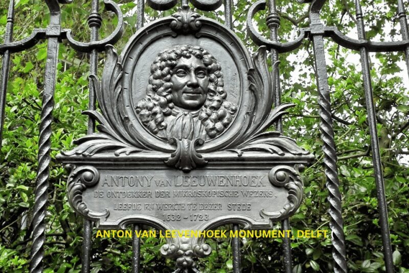 Rotterdam & Delft Daily Walking Tour - What We Think About the Pricing and Value