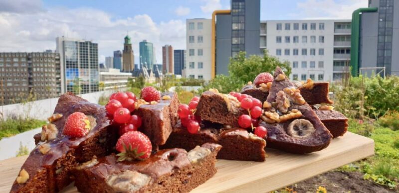 Rotterdam: Food Tour by Bike - An In-Depth Look at the Rotterdam Food Bike Tour