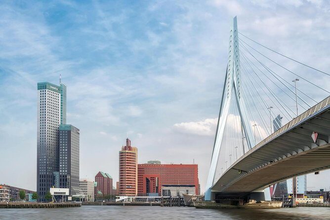 Rotterdam Grand South Holland Private Tour with The Hague & Delft - Rotterdam Grand South Holland Private Tour with The Hague & Delft: A Deep Dive