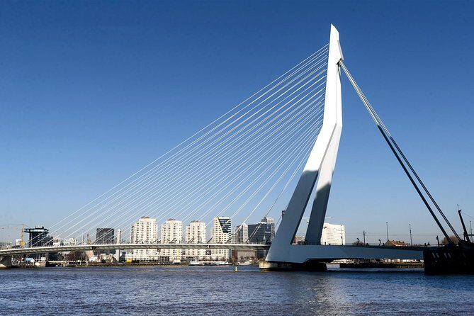 Rotterdam Grand South Holland Private Tour with The Hague & Delft - An In-Depth Look at the Tour