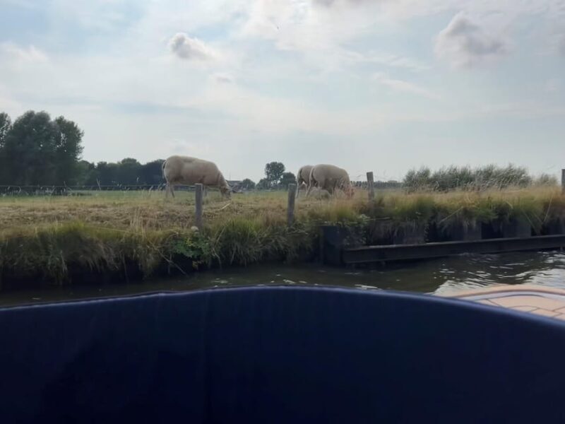 Rotterdam: green heart Midden-Delfland: Luxury Boat Tour - Who Will Love This Tour?
