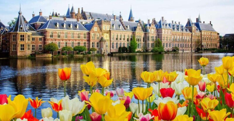 Rotterdam, Hague & Delft Private Tour from Amsterdam by Car - Key Points