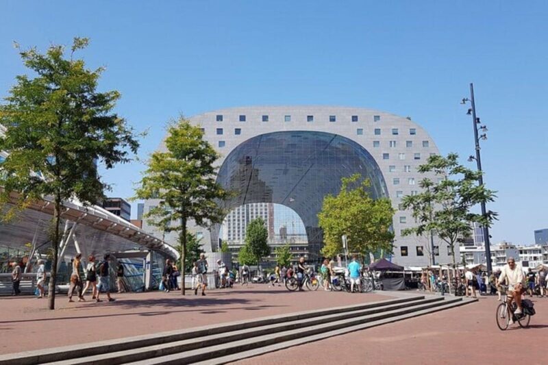 Rotterdam : Highlights Private Bike Tour - The Erasmus Bridge: Rotterdam’s Iconic Swan