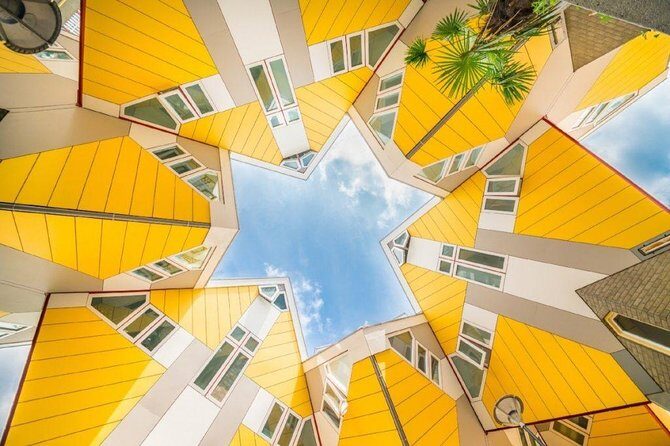 Rotterdam Highlights Private Walking Tour - A Deep Dive into the Rotterdam Highlights Private Walking Tour