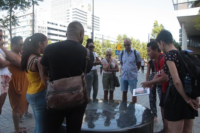 Rotterdam Highlights Private Walking Tour - The Sum Up