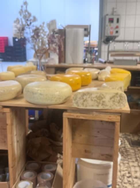 Rotterdam: Kinderdijk UNESCO Cheese Farm Experience - Final Thoughts