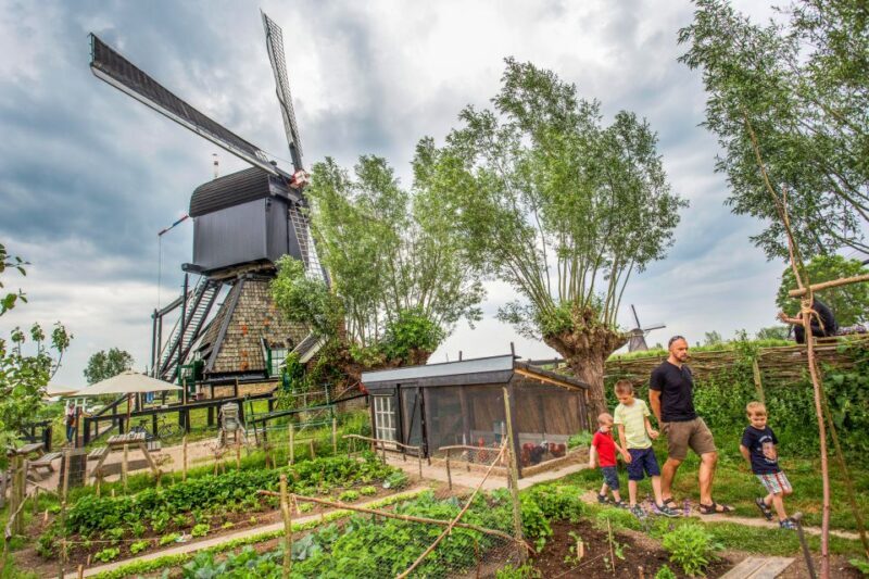Rotterdam: Kinderdijk UNESCO World Heritage Entry Ticket - Is It Worth the Price?