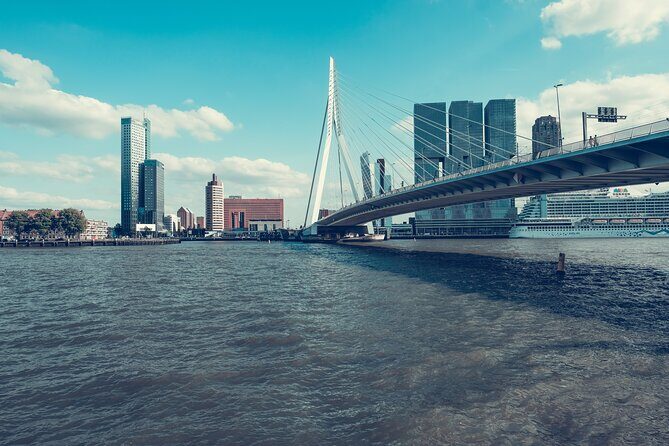 Rotterdam Like a Local: Customized Private Tour - What the Reviews Tell Us