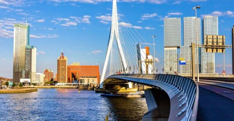 Rotterdam: Private Custom Walking Tour with Local Guide - A Personalized Look at Rotterdam