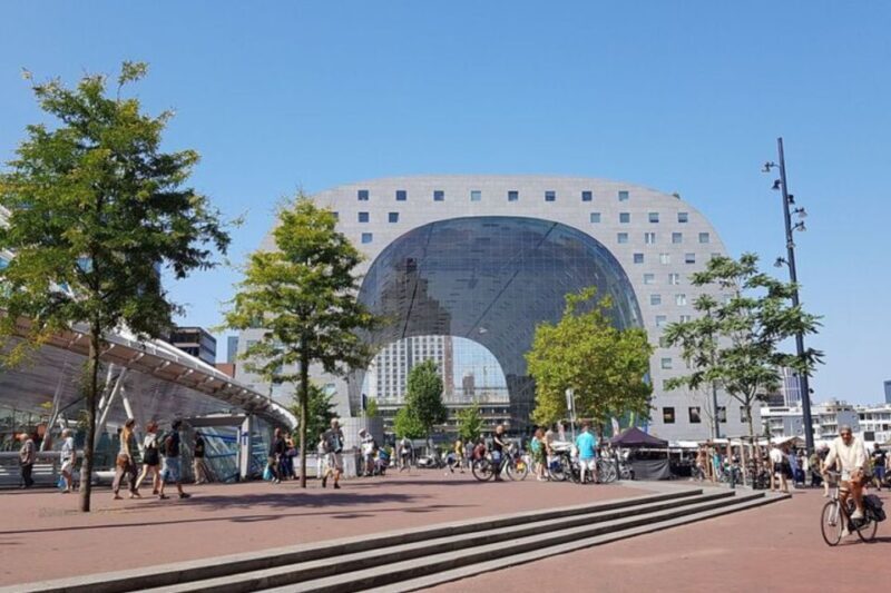 Rotterdam: Private Custom Walking Tour with Local Guide - Authentic Local Insights and Tips