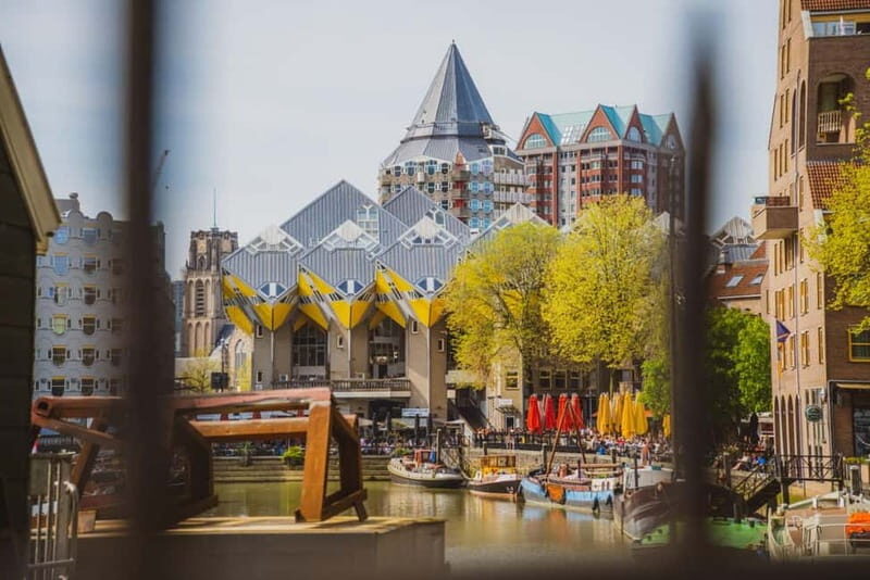 Rotterdam: PRIVATE Highlight & Hidden Gems Walk With Local - Final Thoughts