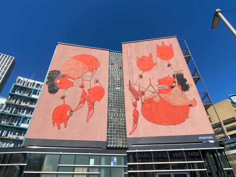 Rotterdam Street Art tour: Including specialised guide - Practical Details
