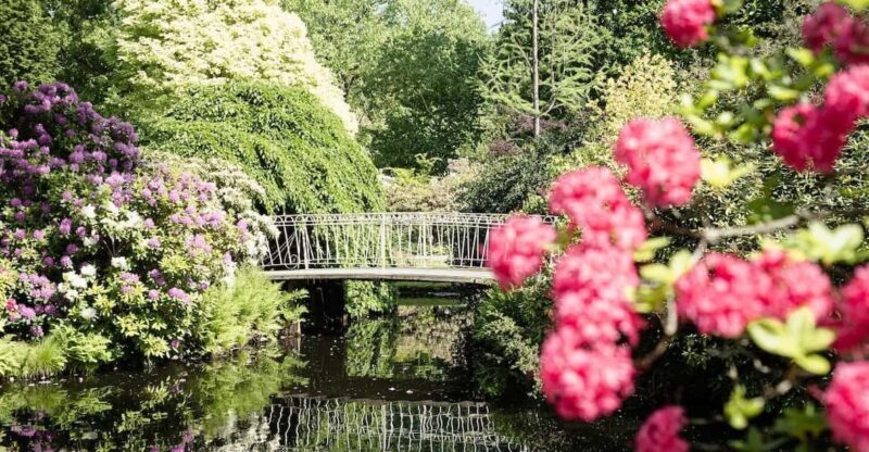 Rotterdam: Trompenburg Botanical Gardens Entry Ticket - What to Expect When Visiting Trompenburg Gardens