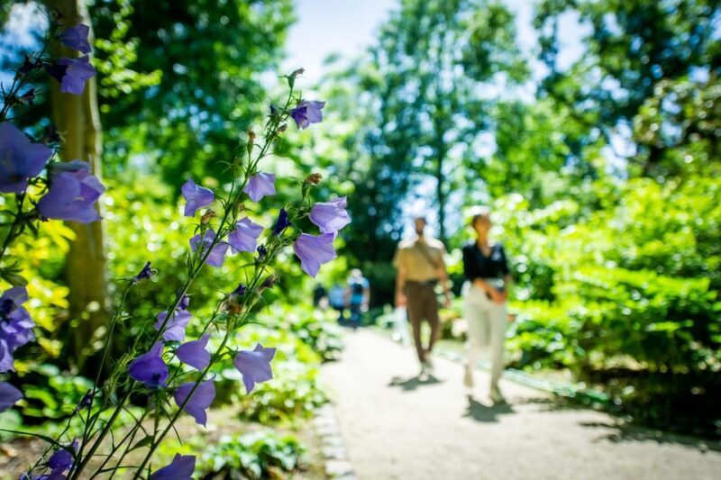 Rotterdam: Trompenburg Botanical Gardens Entry Ticket - Authentic Traveler Feedback & Insights