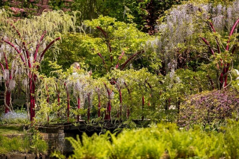 Rotterdam: Trompenburg Botanical Gardens Entry Ticket - FAQ