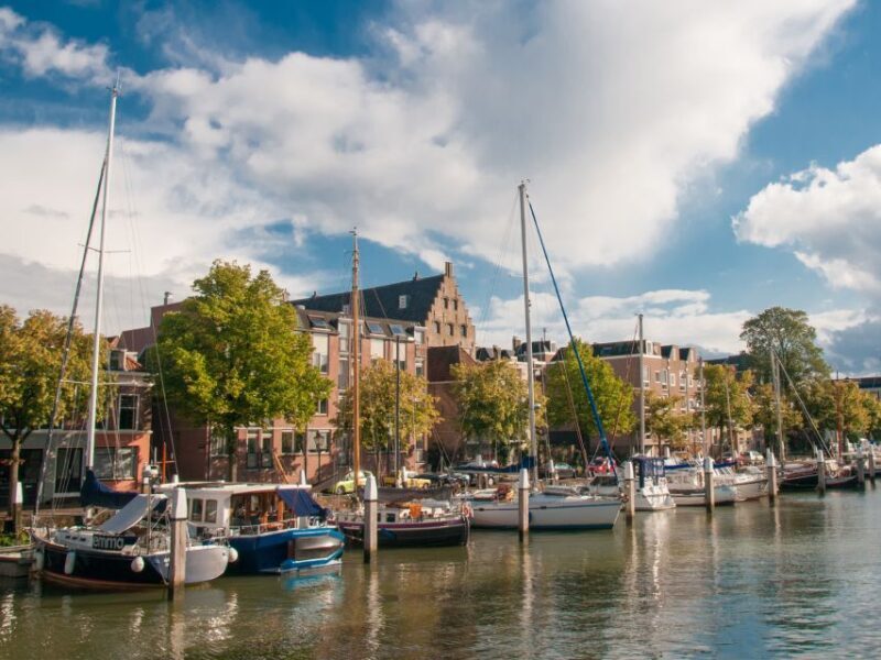 Rotterdam: Waterbus Ticket to Dordrecht and/or Kinderdijk - What To Expect From the Waterbus Experience