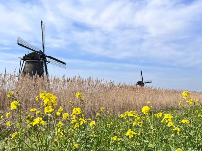 Rotterdam: Waterbus Ticket to Dordrecht and/or Kinderdijk - The Real Value of the Waterbus Ticket