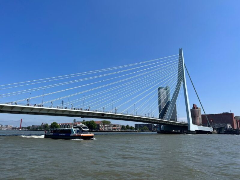 Rotterdam: Waterbus Ticket to Dordrecht and/or Kinderdijk - Authenticity and Local Flavor
