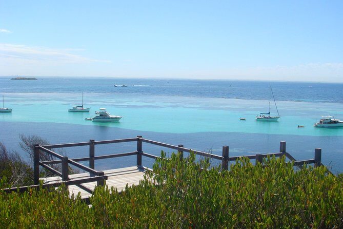 Rottnest Bayseeker Bus Tour from Hillarys Boat Harbour - Key Points
