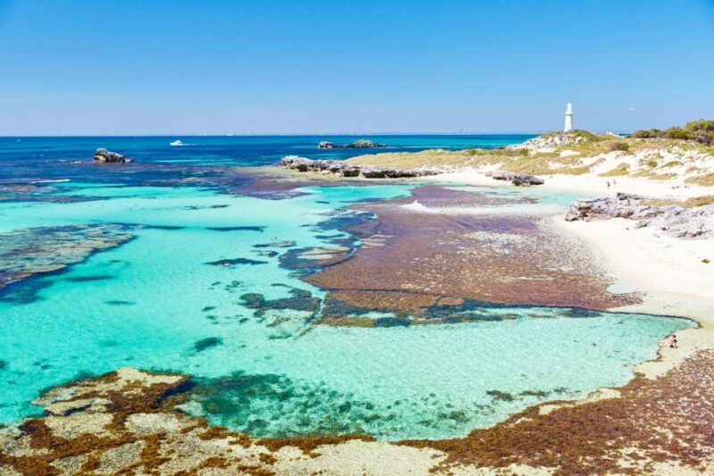 Rottnest Grand Island Package with Ferry, Tour & Light Lunch - The Itinerary: A Journey Through the Best of Rottnest