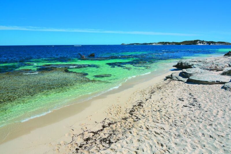 Rottnest Grand Island Package with Ferry, Tour & Light Lunch - The Final Hours: Relaxing & Free Time