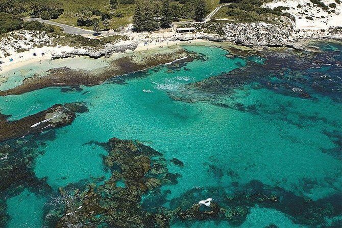 Rottnest Island Bayseeker Day Trip from Fremantle - The Sum Up