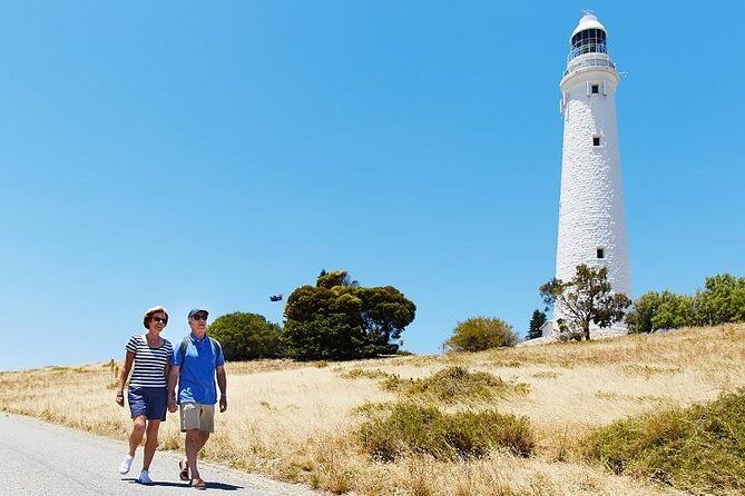 Rottnest Island Bayseeker Tour - The Experience: What to Expect from the Rottnest Island Bayseeker Tour