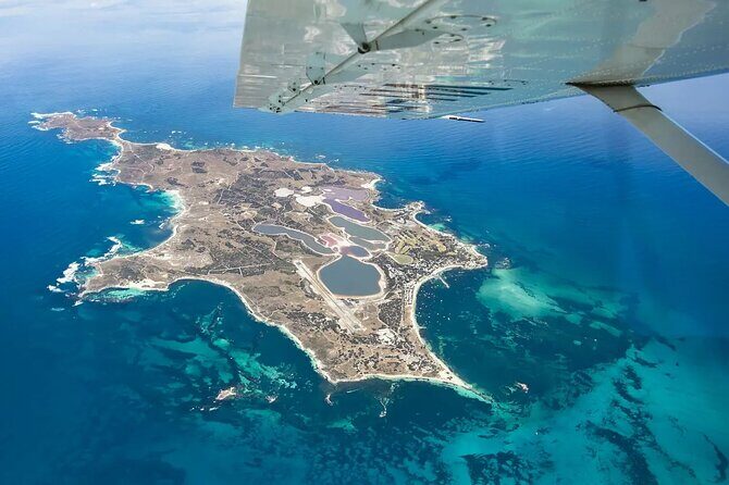 Rottnest Island Bayseeker Tour - Authentic Insights from Reviews